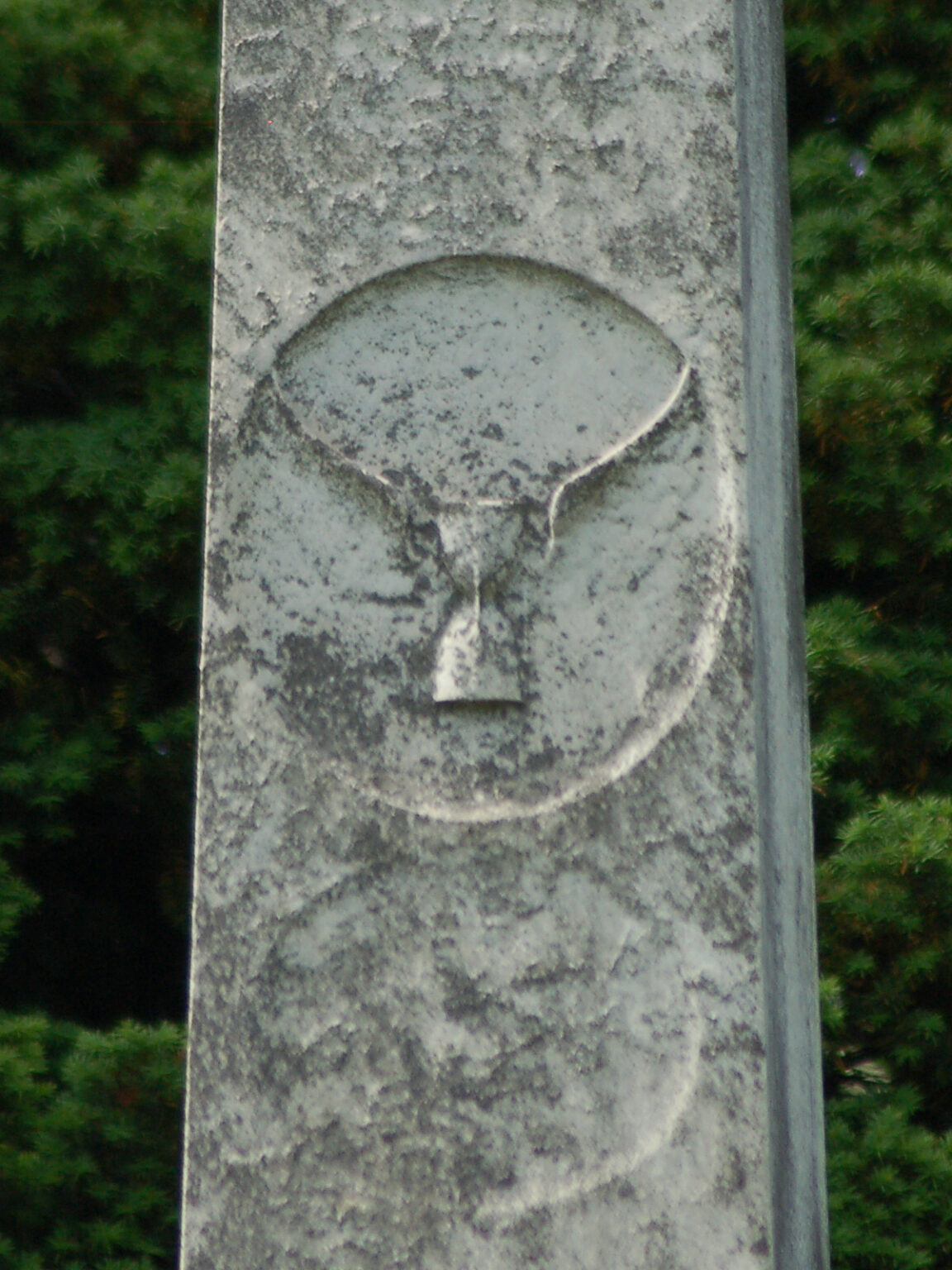 BrooklynParrots.com - about those wild monk parakeets of Kings County, NY