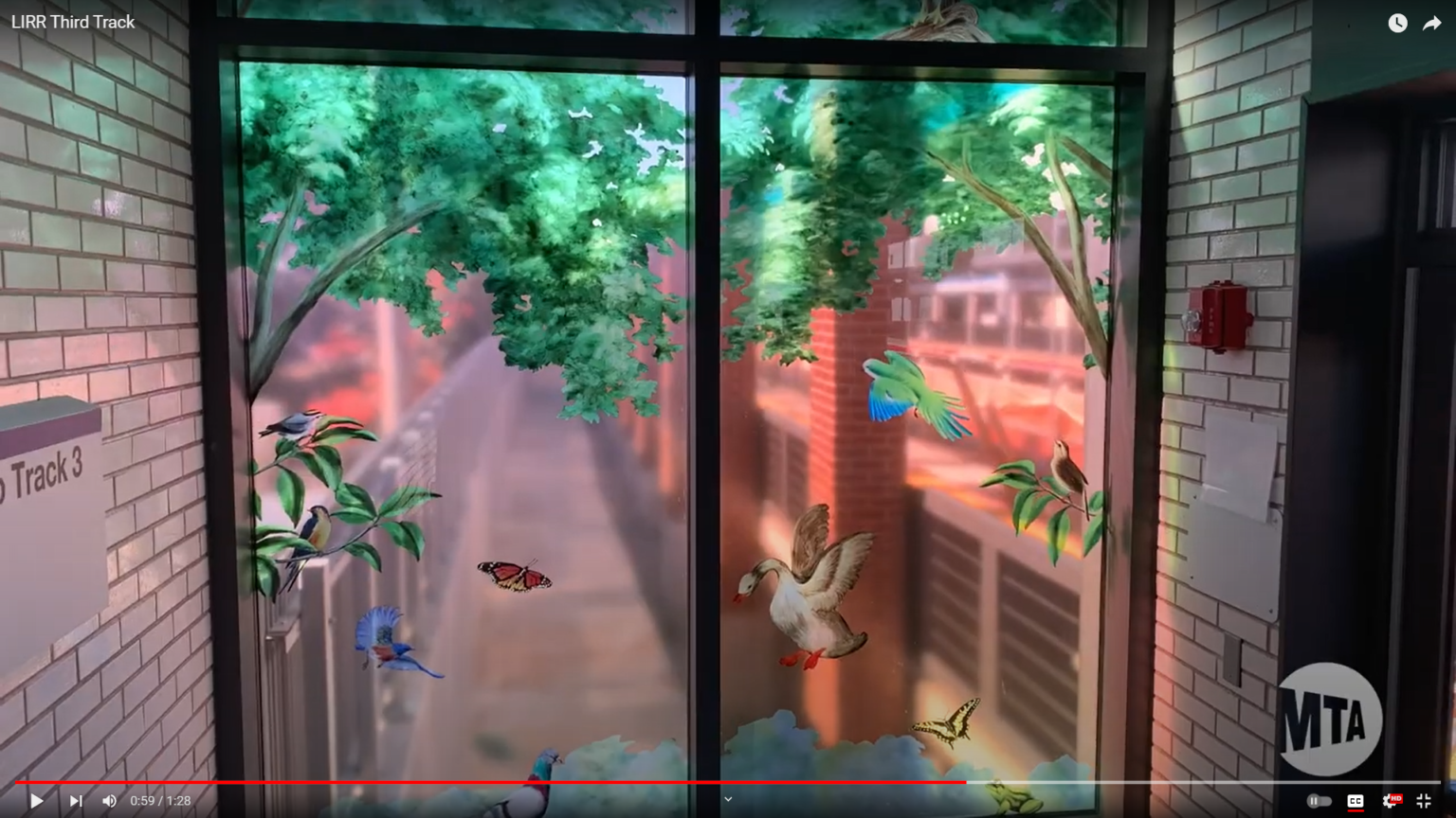 BrooklynParrots.com - about those wild monk parakeets of Kings County, NY