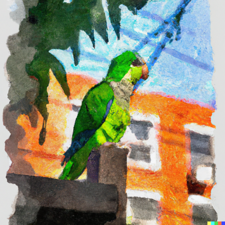 BrooklynParrots.com - about those wild monk parakeets of Kings County, NY